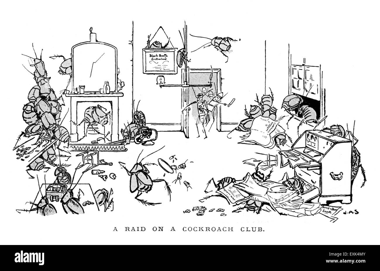 Cockroaches Black and White Stock Photos & Images - Alamy