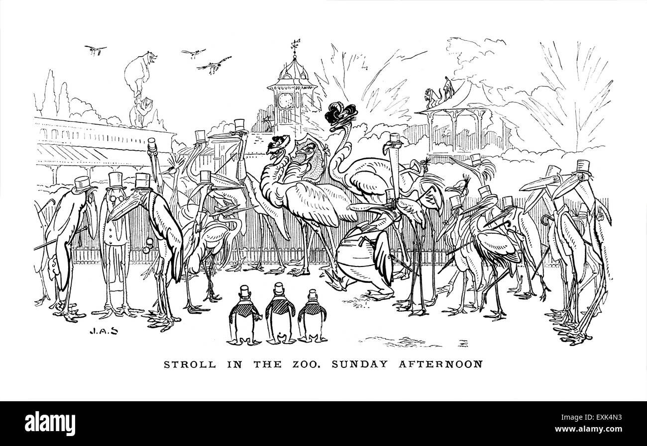 amusing Victorian illustration from 1895 by J A Shepherd, “Stroll in ...