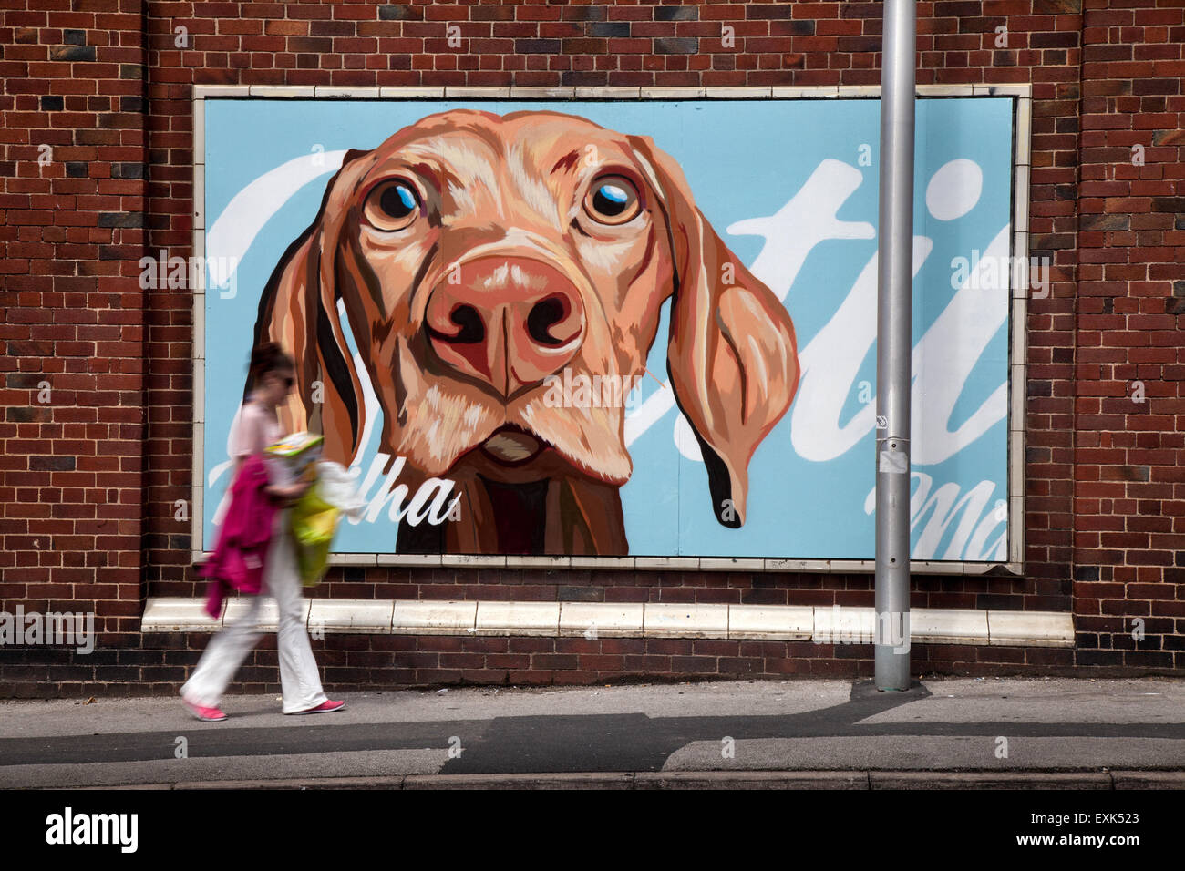 Pedestrian walking past street art, graffiti wall painting, decoration ...