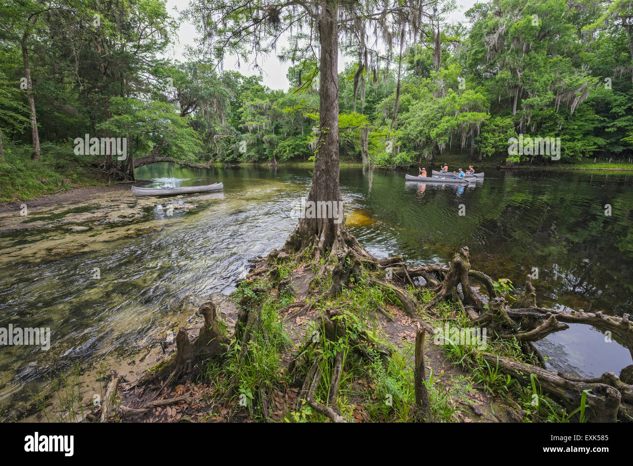 Poe Springs Park is owned by Alachua County and is located along the ...