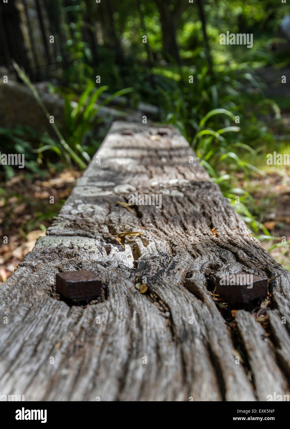 Long wood plank hi-res stock photography and images - Alamy