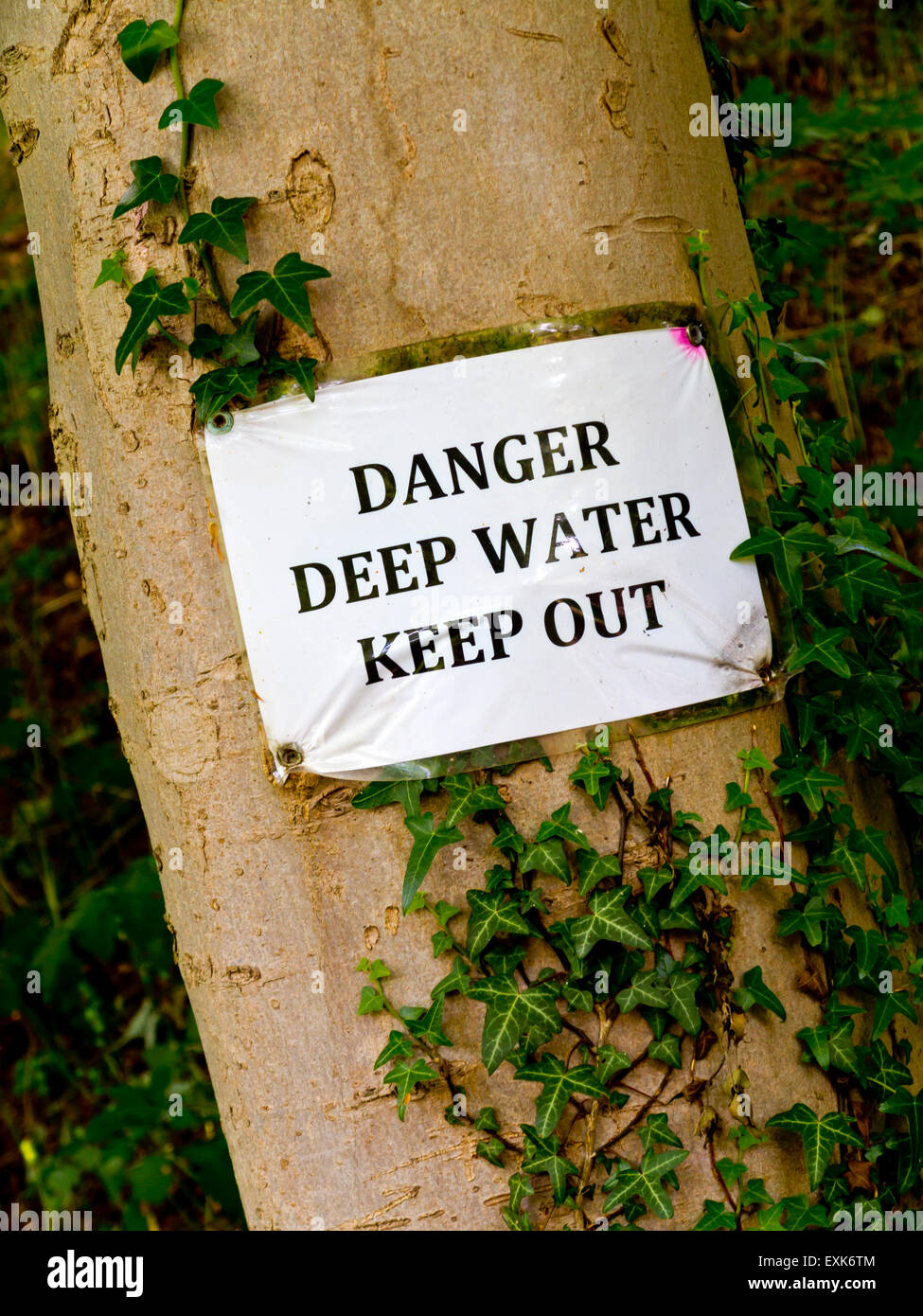 Danger Deep Water Keep Out sign attached to a tree trunk with ivy Stock ...