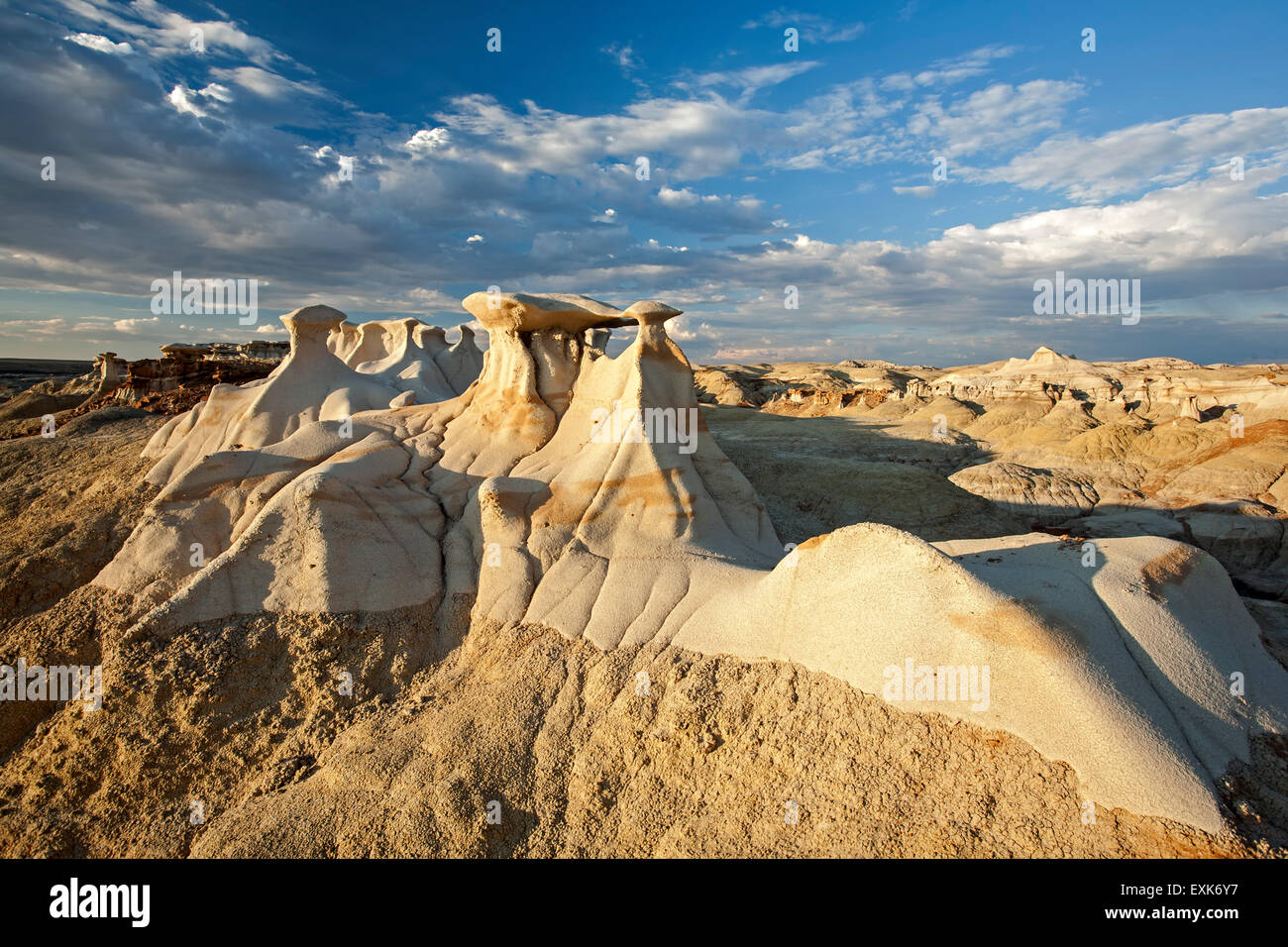 "Capped" rocks and badlands, Bisti Wilderness Area, New Mexico USA ...