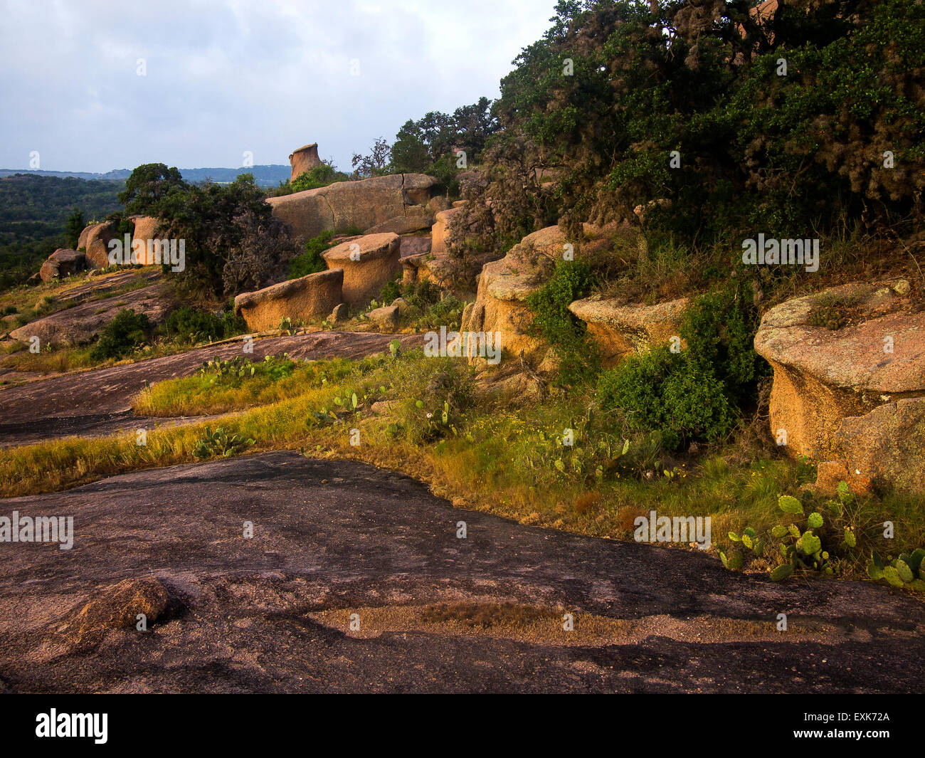 Enchanted Rock State Natural Area, pink granite dome, mostly ...