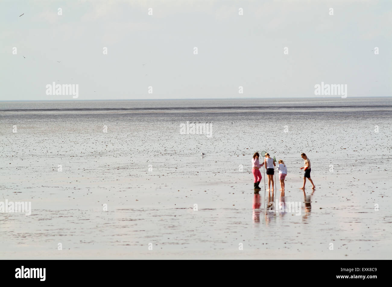 Walk through mud hi-res stock photography and images - Alamy