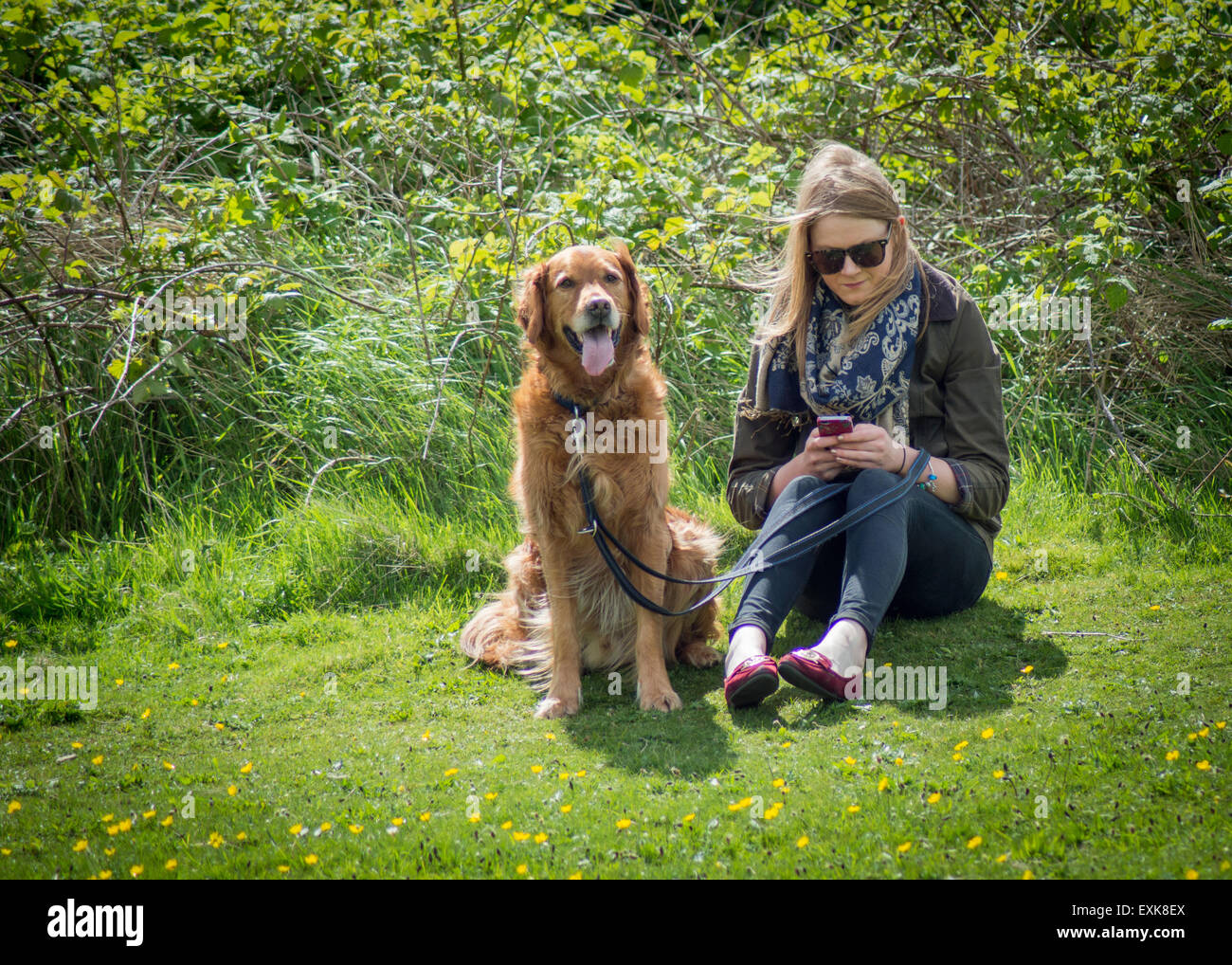 A woman texting and her pet dog Stock Photo - Alamy