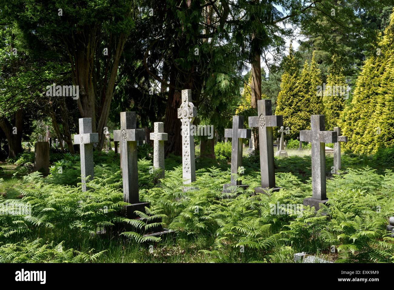 Headstones and graves at Brookwood cemetery Surrey Stock Photo - Alamy
