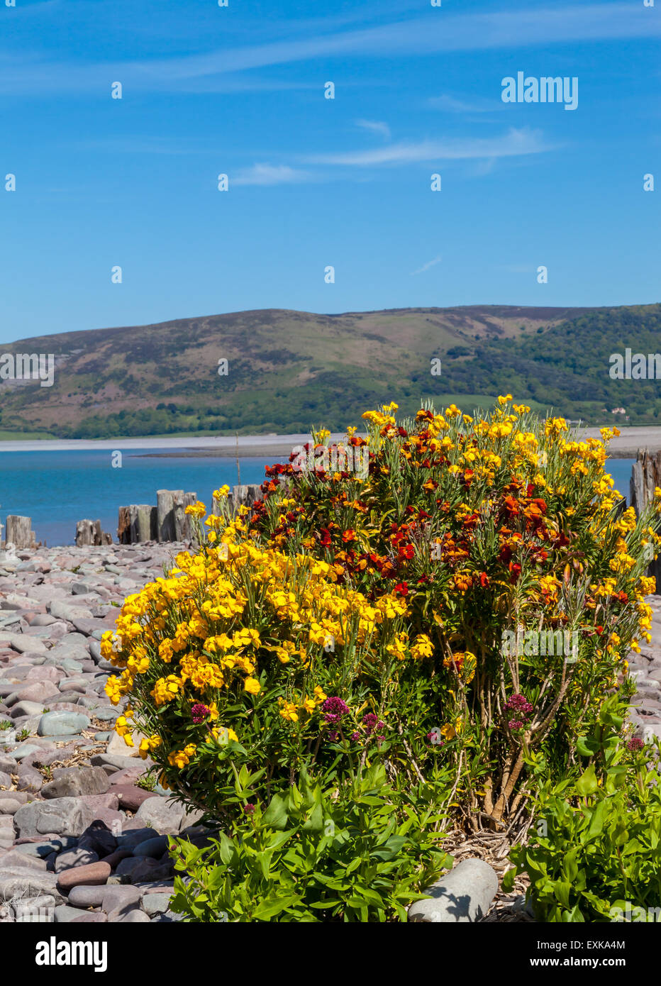 Beach at Porlock Weir Harbour with Bossington Hill in the Distance ...