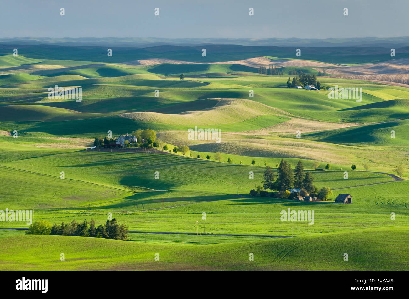 Hills farms hi-res stock photography and images - Alamy