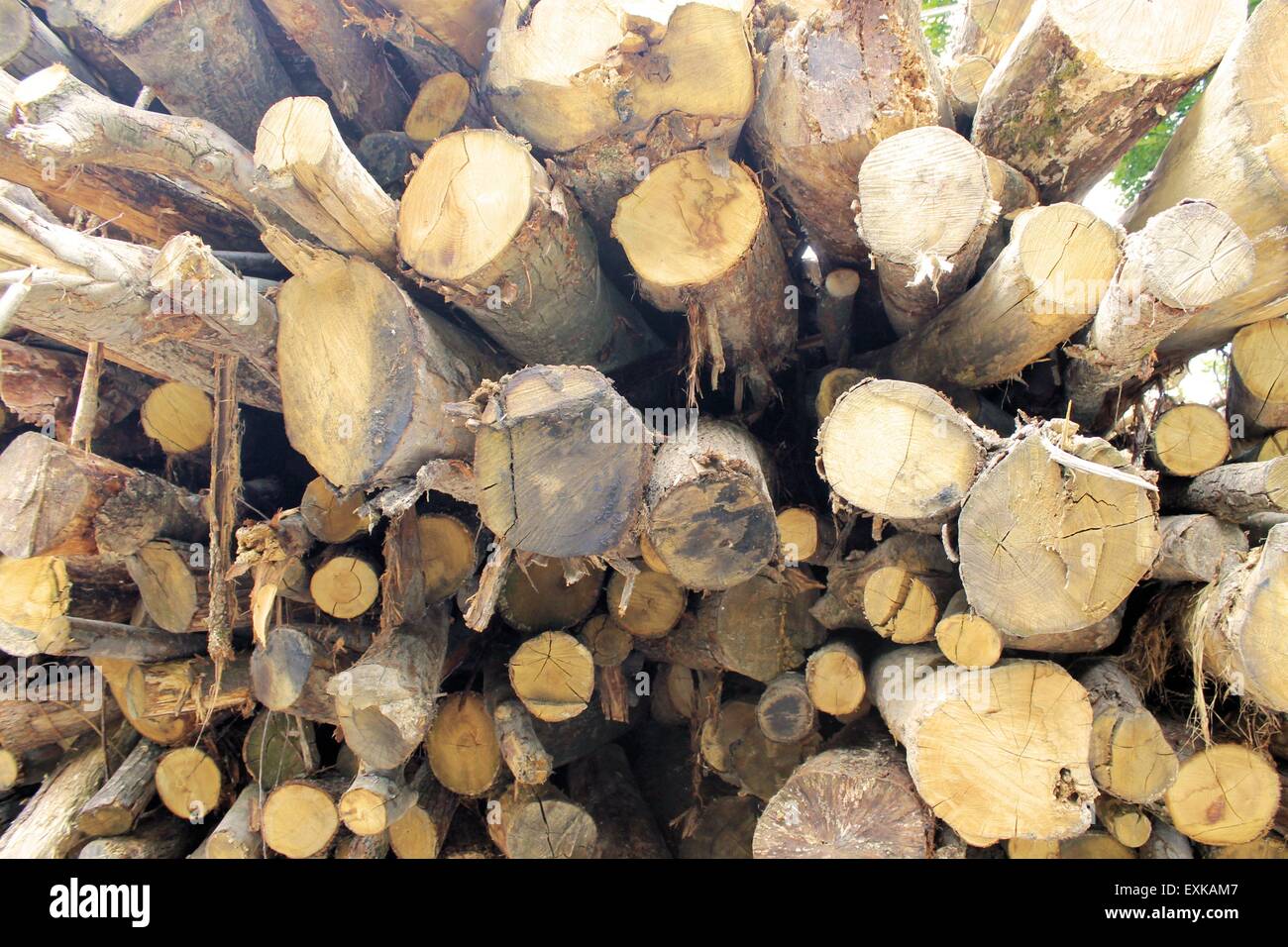 Fire wood texture hi-res stock photography and images - Alamy