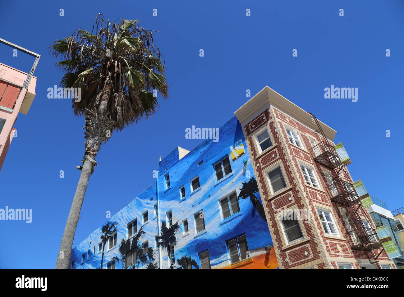Building and Palm Tree Stock Photo - Alamy