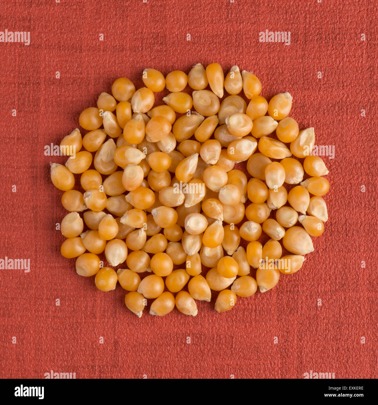 Top view of circle of corn against red vinyl background Stock Photo - Alamy