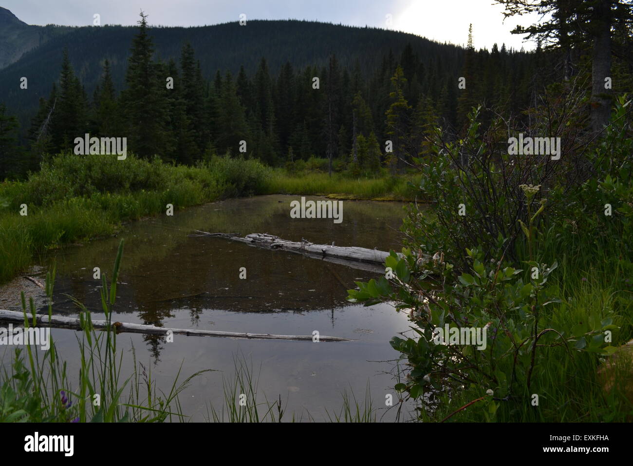 Sunny and beautiful weather in Canada Stock Photo - Alamy