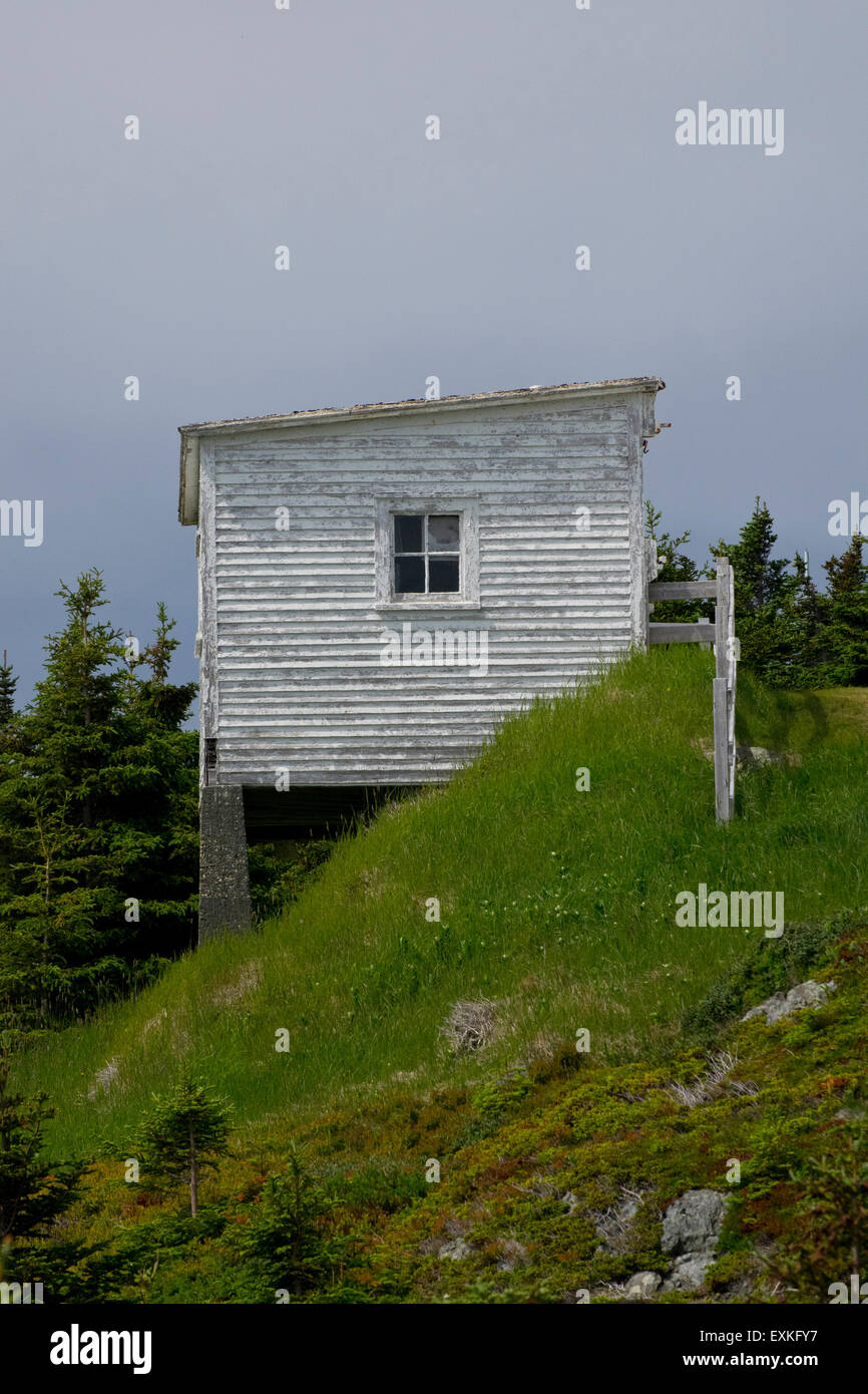 A shed beside the water, Newfoundland Stock Photo - Alamy