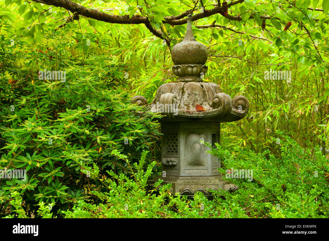 Robert murase hi-res stock photography and images - Alamy
