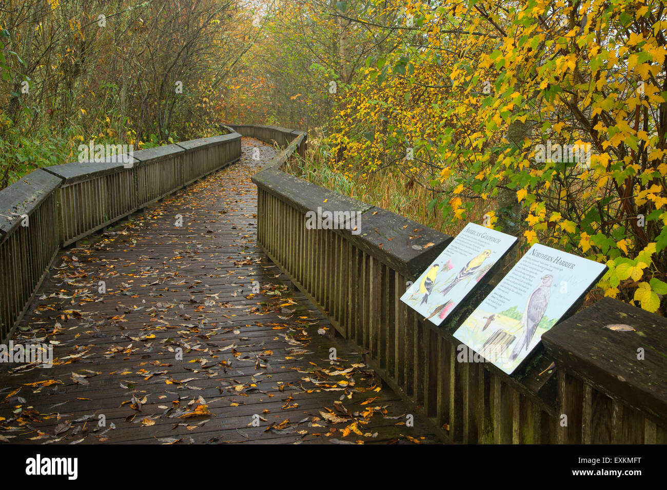 Interpretive boards on Twin Barns Loop Trail boardwalk, Nisqually ...
