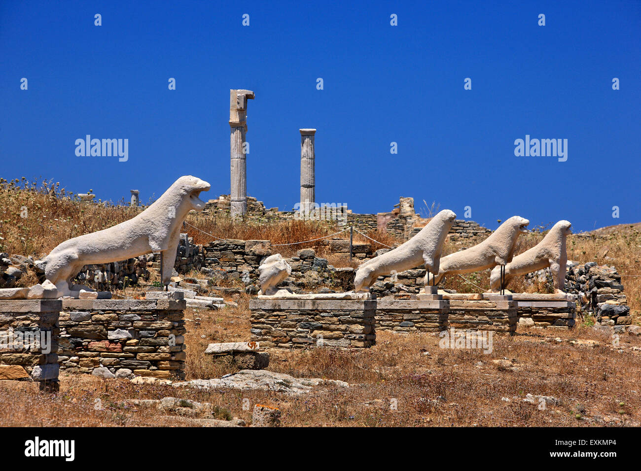 Delos terrace of the lions hi-res stock photography and images - Alamy