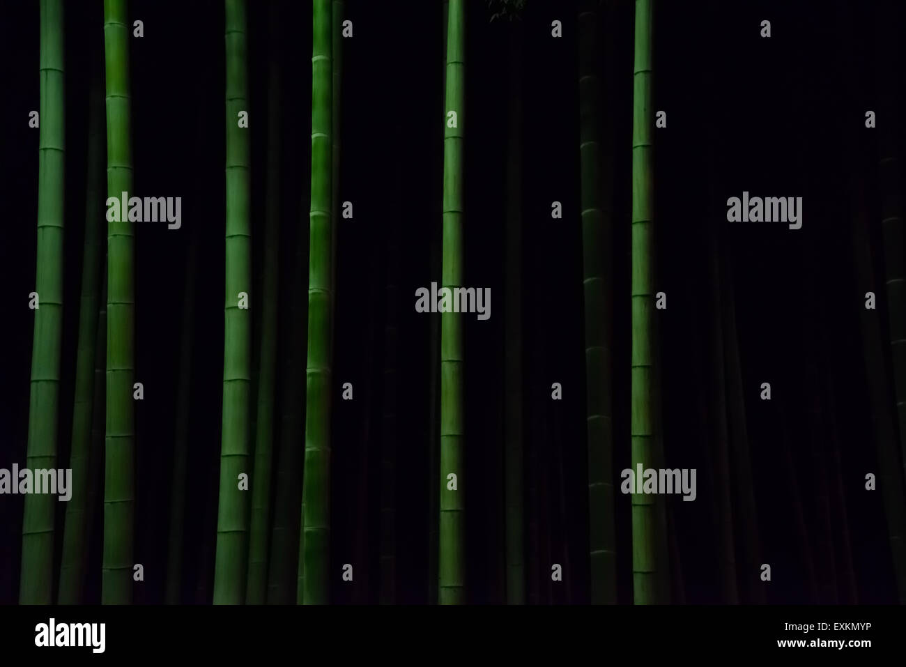 Beauty of bamboo trees hi-res stock photography and images - Alamy