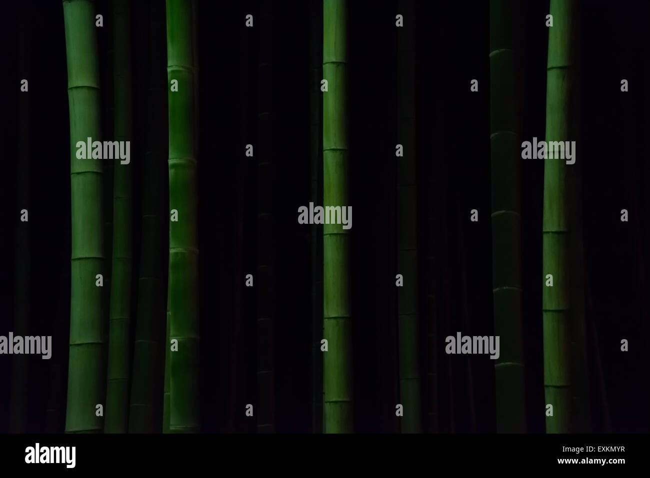 Beauty of bamboo trees hi-res stock photography and images - Alamy