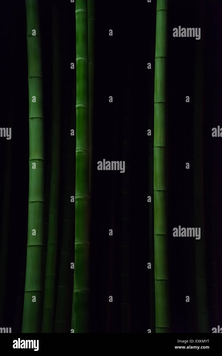 Bamboo forest japan tokyo hi-res stock photography and images - Alamy