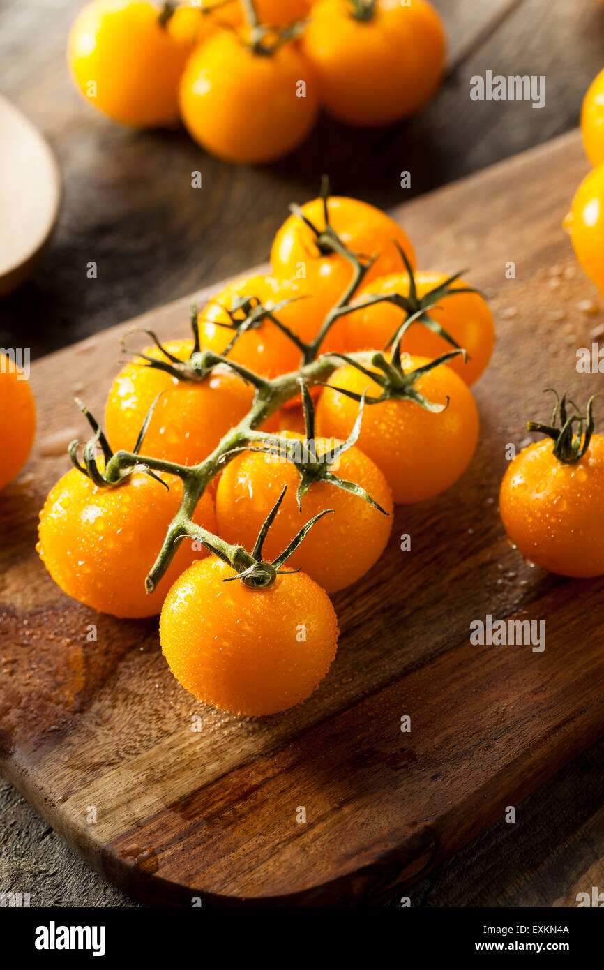 Yellow tomatoes hi-res stock photography and images - Alamy