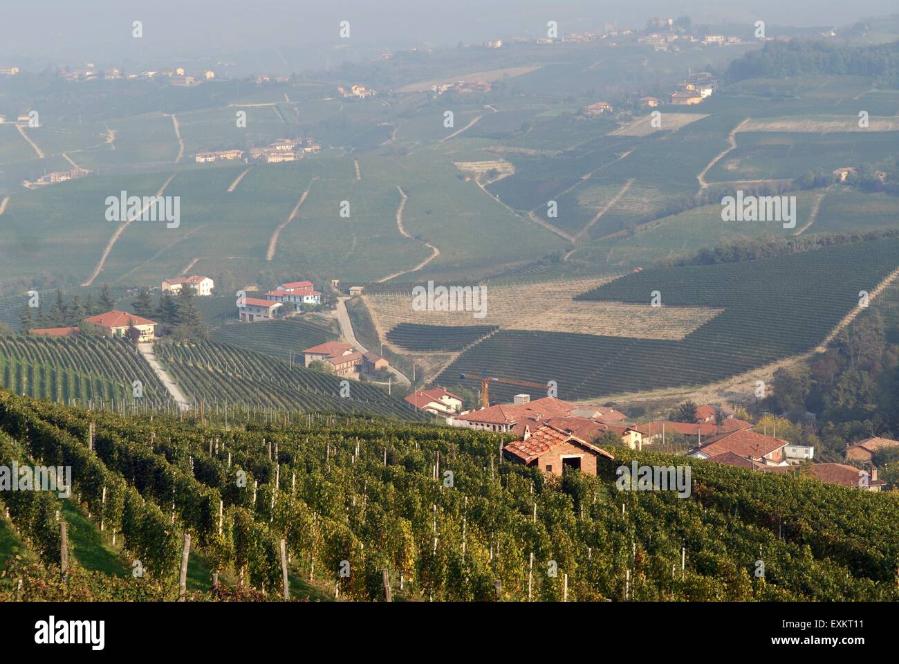Langhe hi-res stock photography and images - Alamy