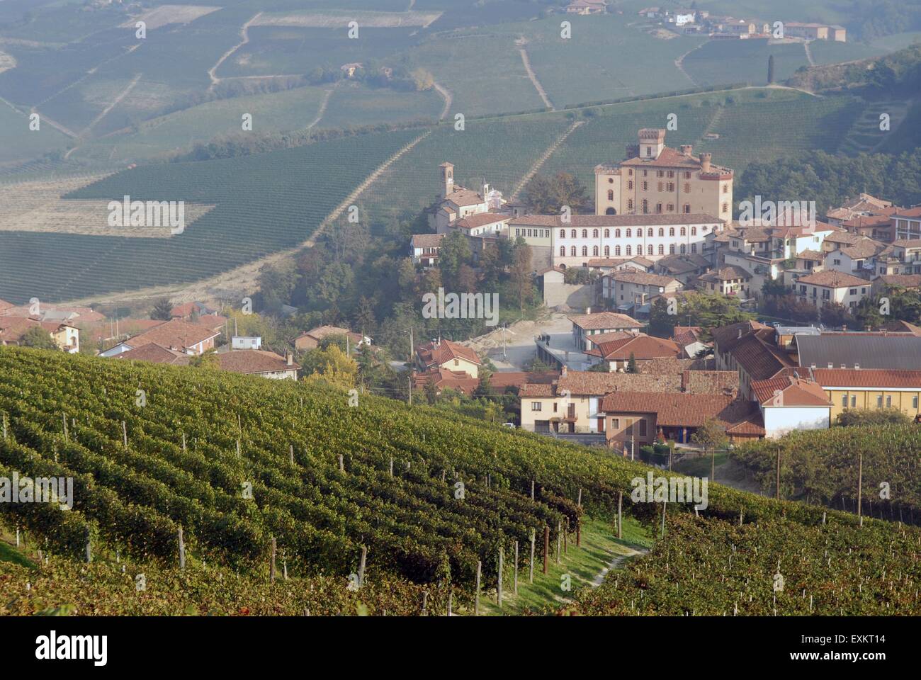 Italy, Piedmont, Langhe hills, vineyards panorama with Barolo village ...