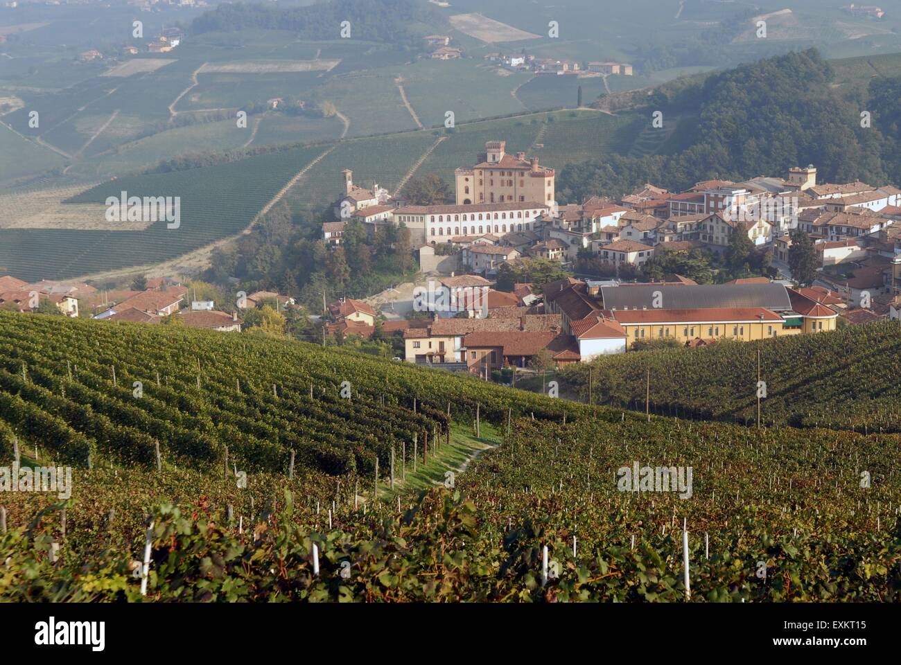 Italy, Piedmont, Langhe hills, vineyards panorama with Barolo village ...