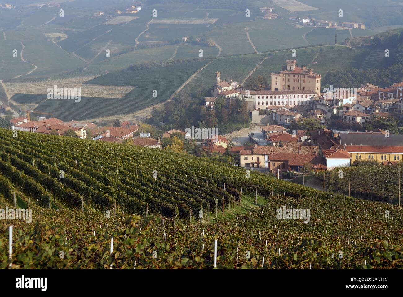 Italy, Piedmont, Langhe hills, vineyards panorama with Barolo village ...