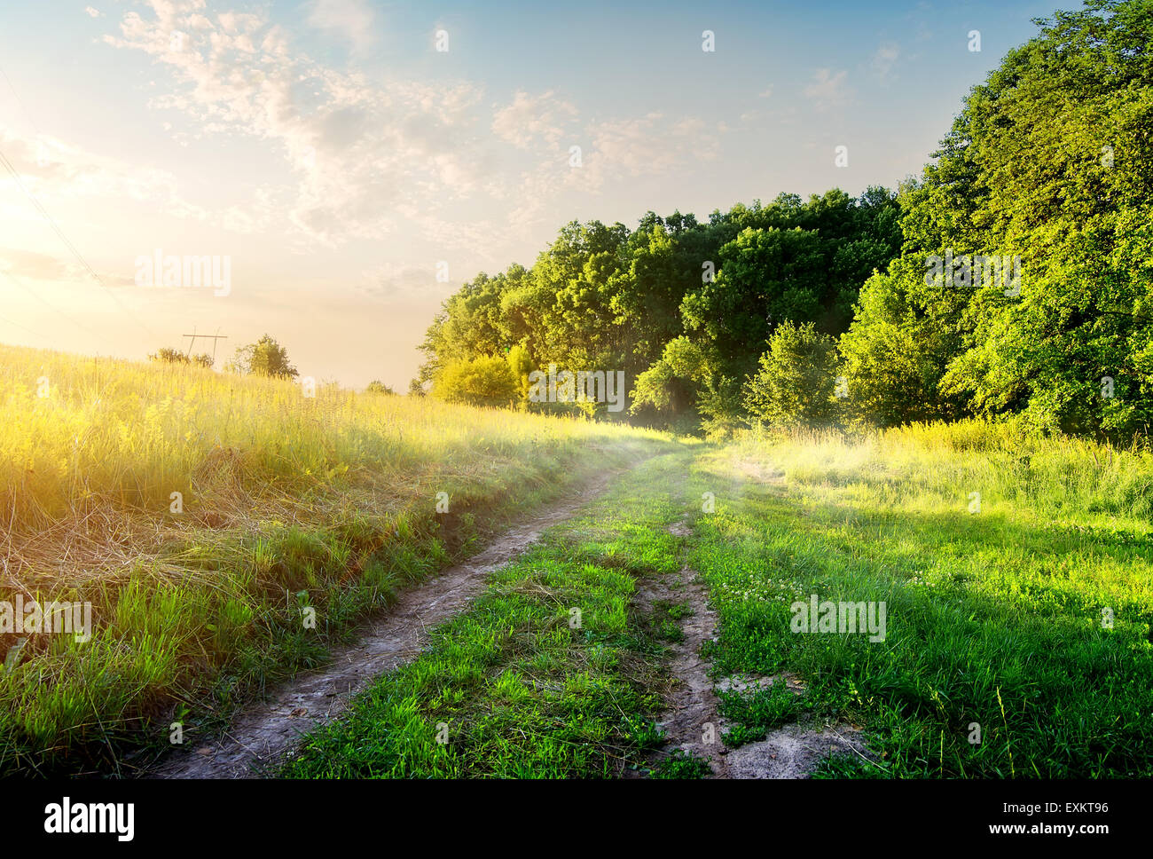 Field road with fog in spring hi-res stock photography and images - Alamy