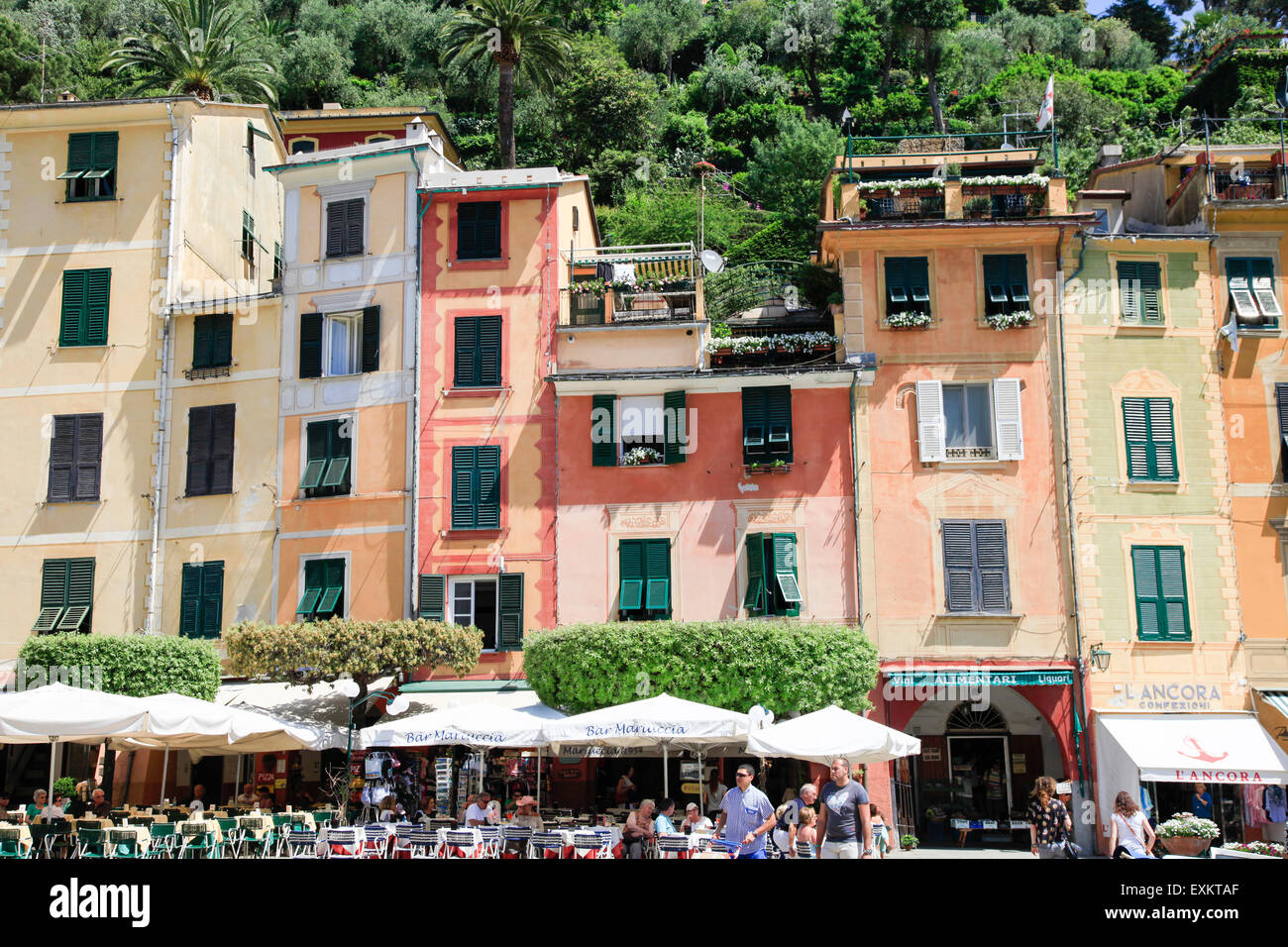 Pastel painted houses on the seafront at Portofino, Golfo del Tigullio ...