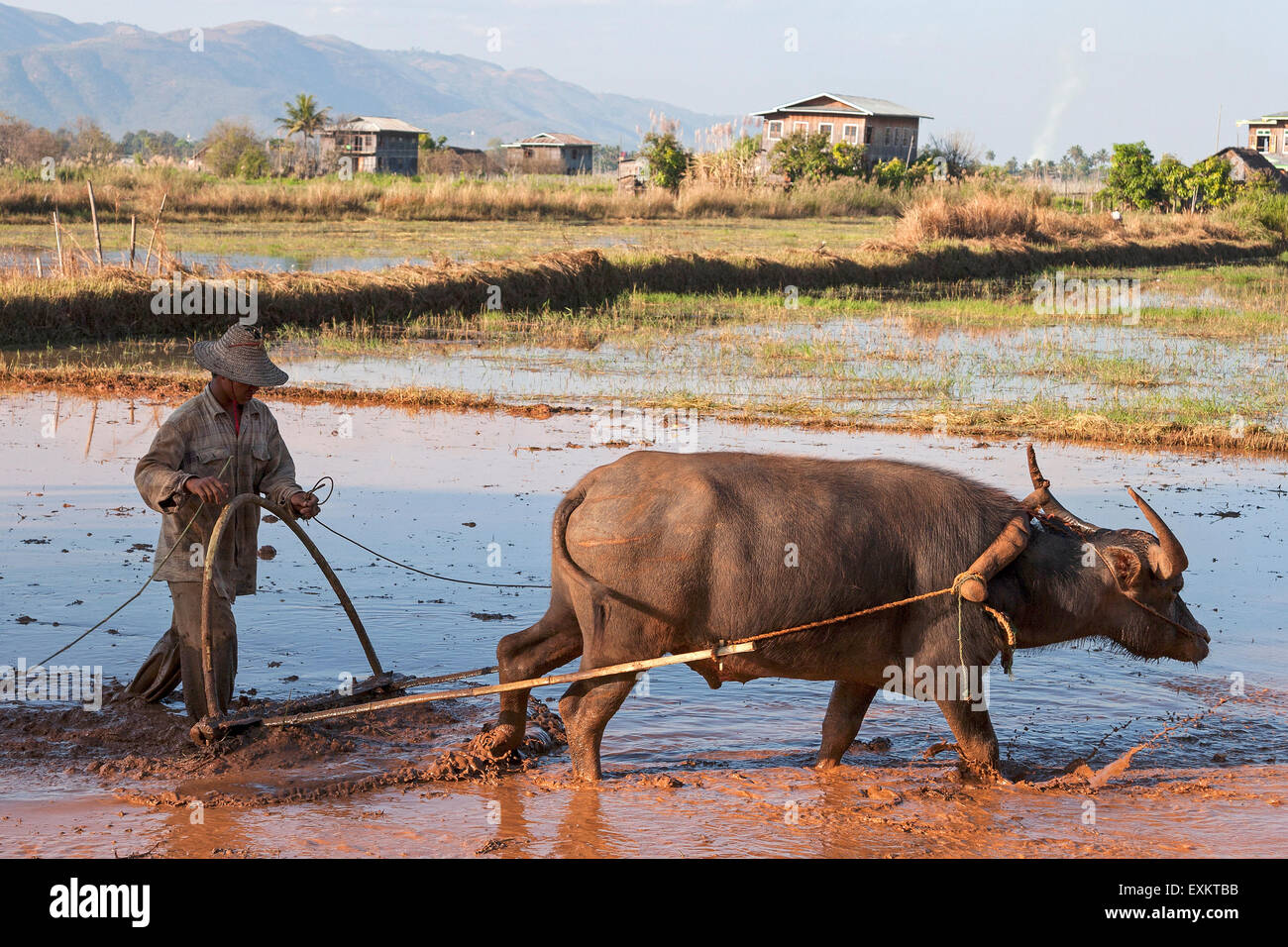 Farmer plowing a field hi-res stock photography and images - Alamy