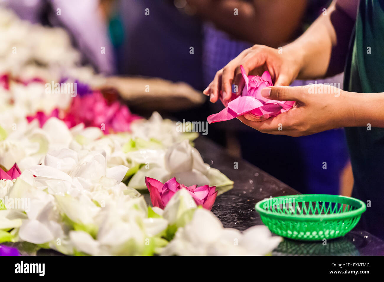 Sri Lanka Dalada Maligawa Stock Photo - Alamy