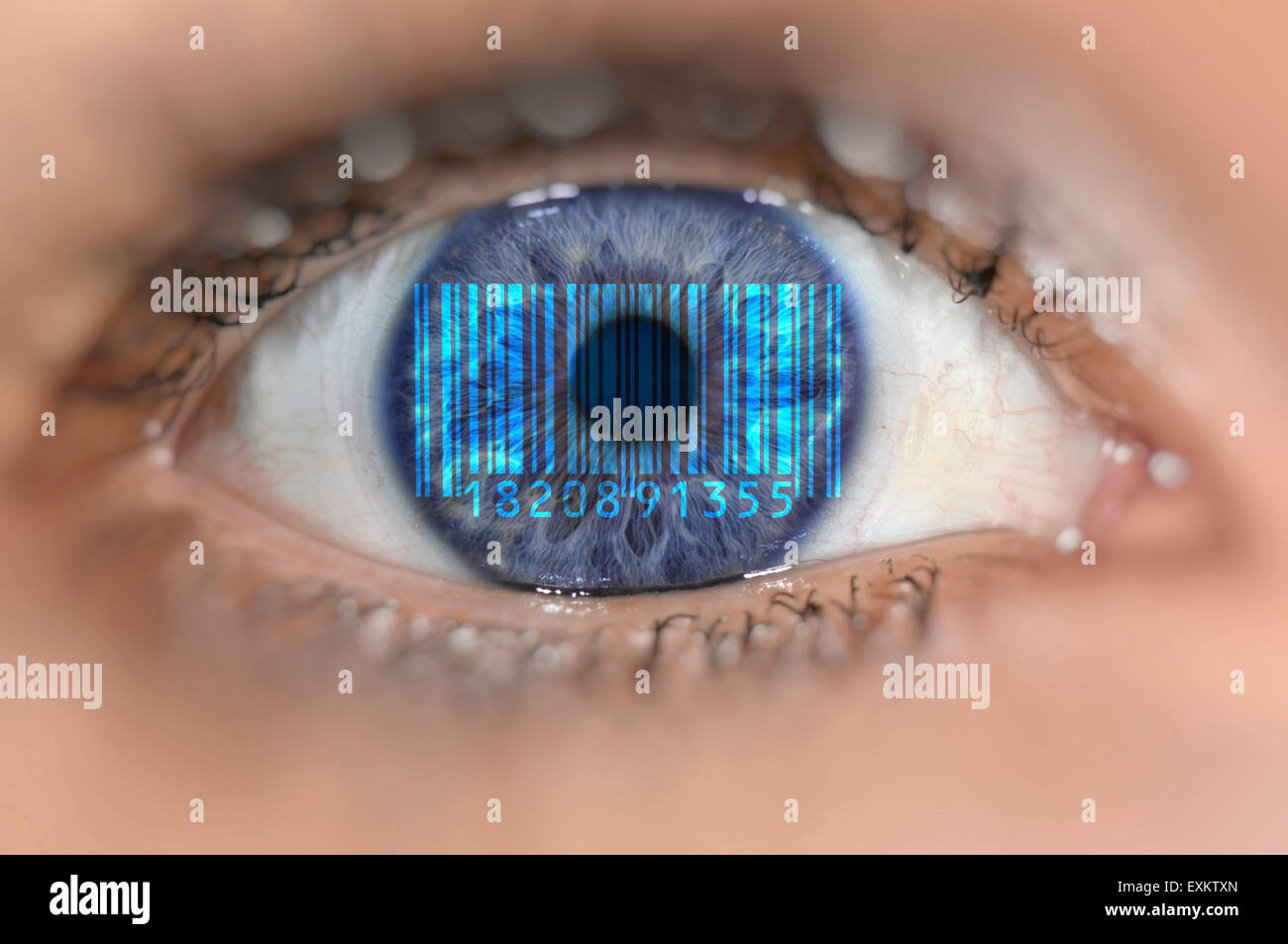 Eye Identification Stock Photos & Eye Identification Stock Images - Alamy