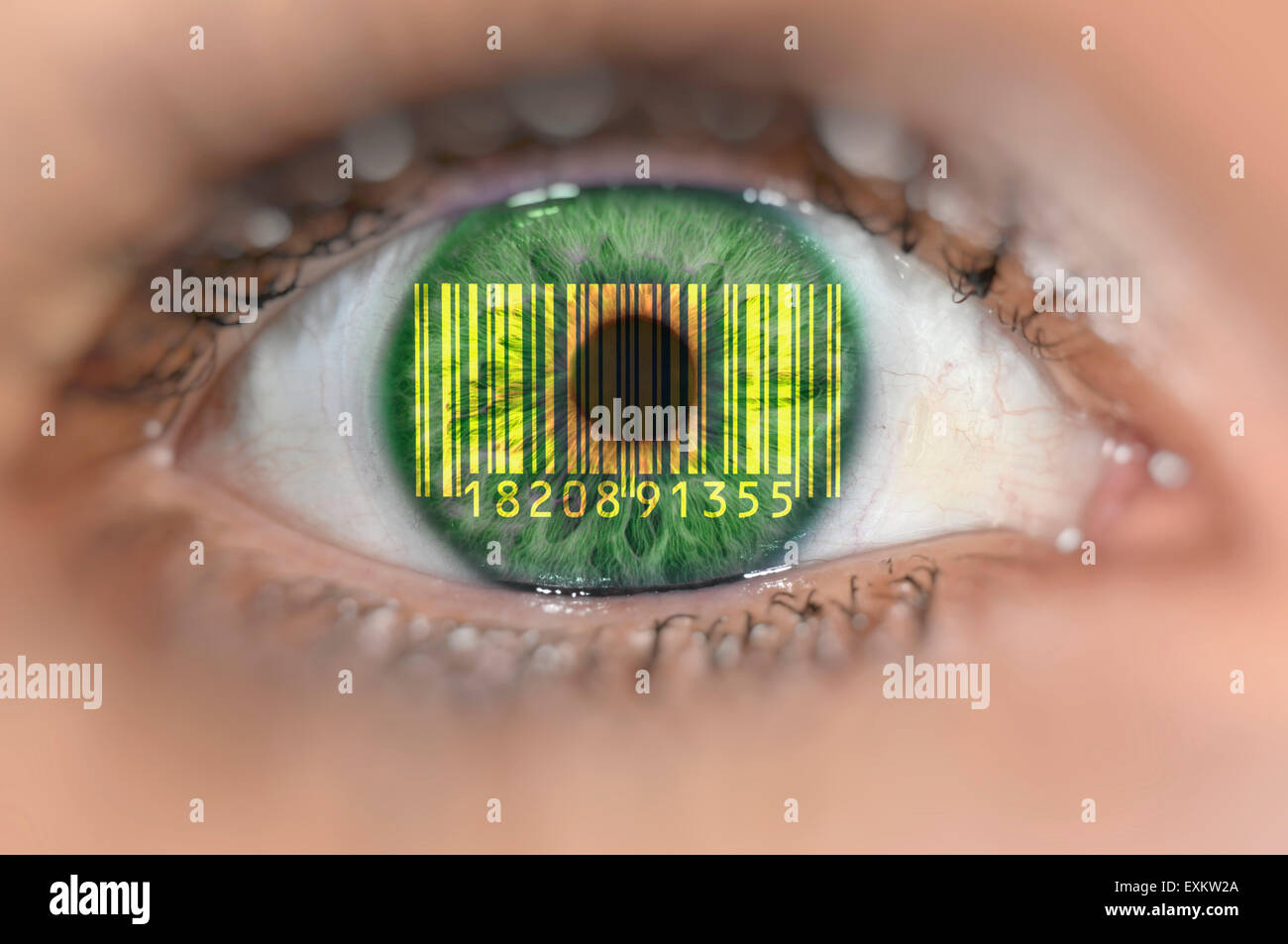 Eye identification hi-res stock photography and images - Alamy