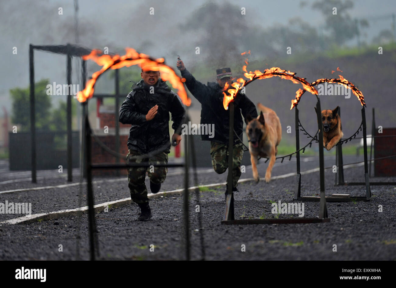 News Fire Dogs High Resolution Stock Photography and Images - Alamy