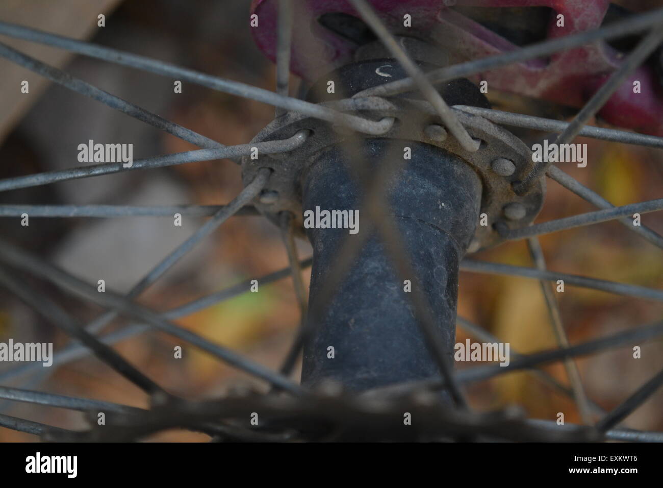 Inside the wheel of a bicycle Stock Photo - Alamy