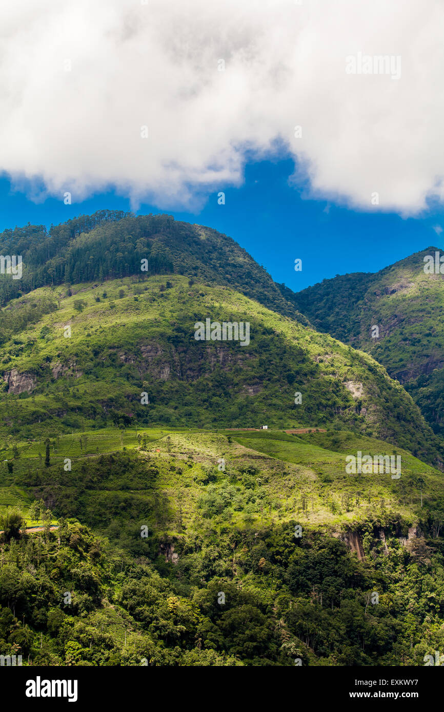 Sri Lanka Kandy Landscape Stock Photo - Alamy
