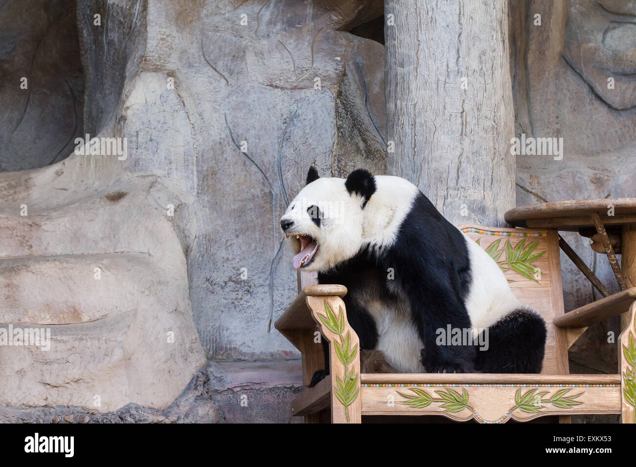 Giant panda bear sitting on wood chair Stock Photo - Alamy