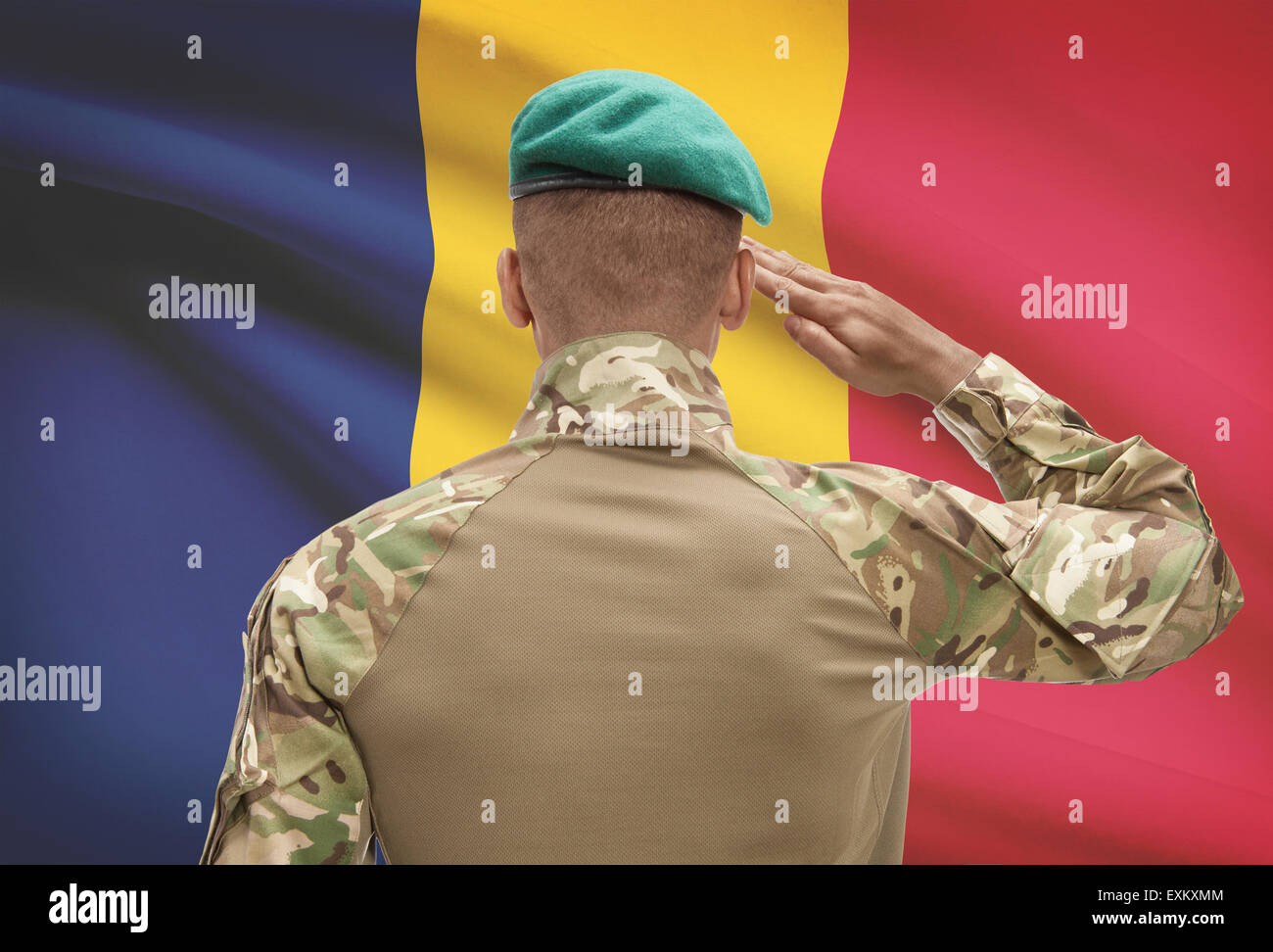 Dark-skinned soldier in hat facing national flag series - Chad Stock ...
