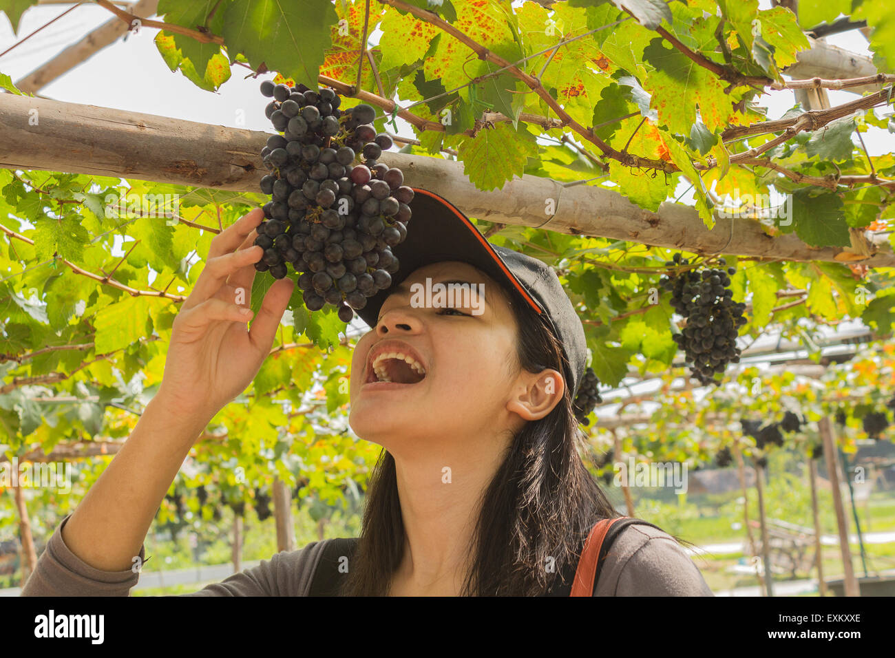Woman eating grapes hi-res stock photography and images - Alamy