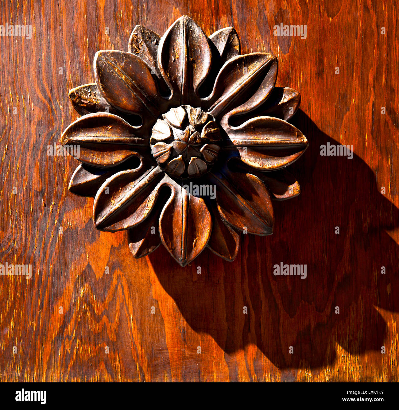abstract flower brass brown knocker in a closed wood door castiglione ...