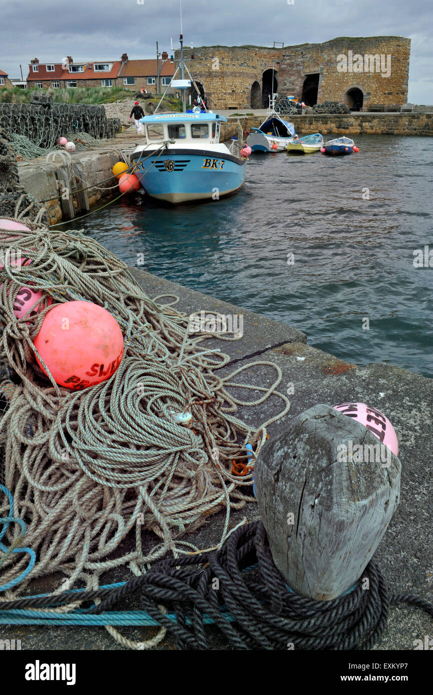 beadnell harbour northumberland Stock Photo - Alamy