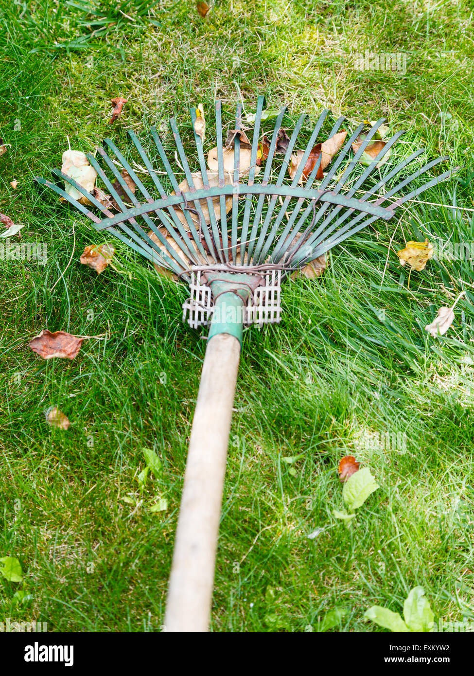 Rake lawn hi-res stock photography and images - Alamy