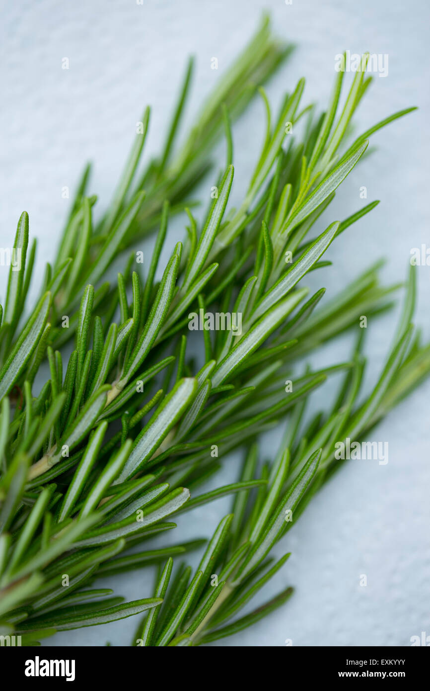 Rosemary field hi-res stock photography and images - Alamy