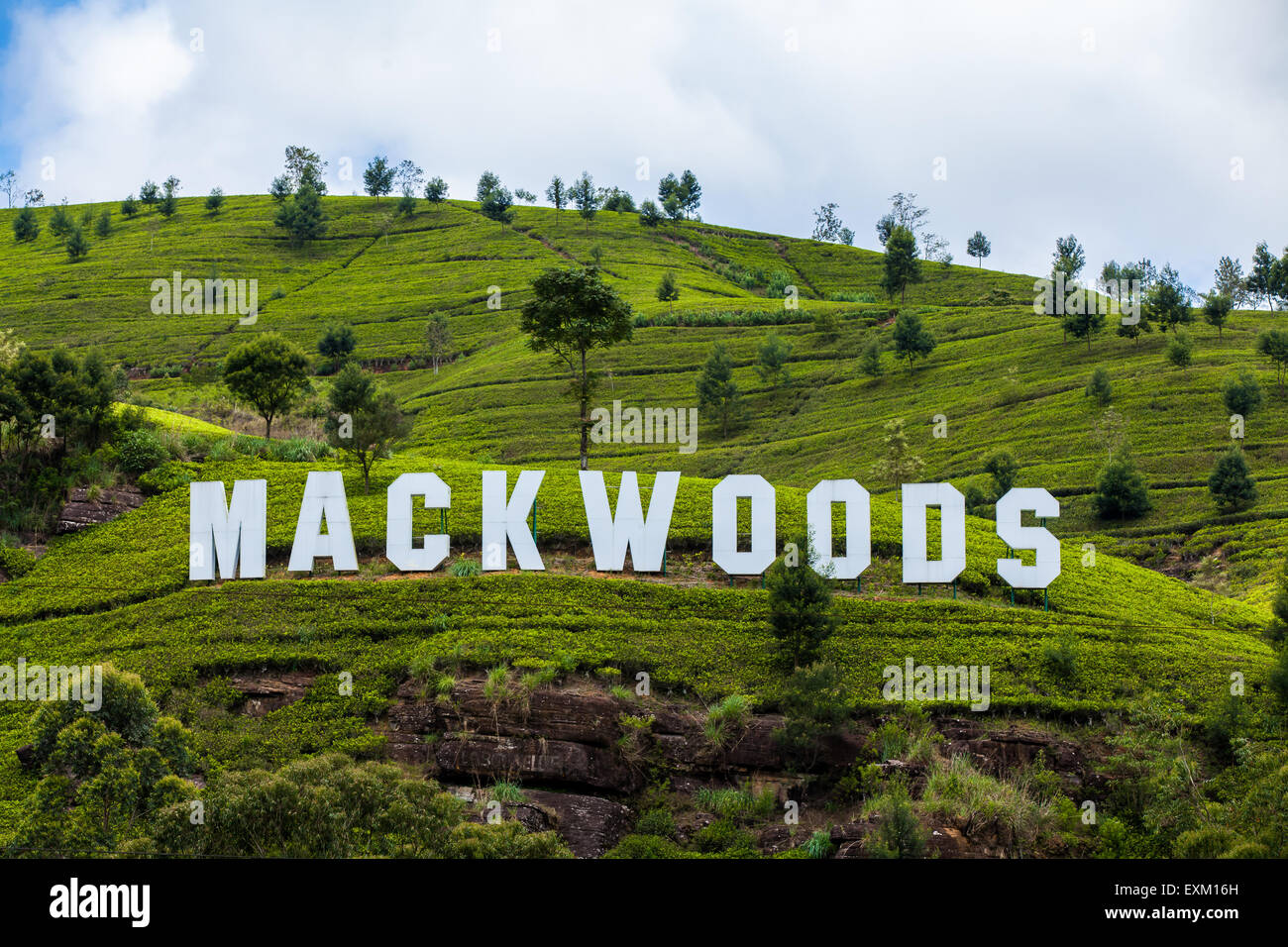 Sri Lanka Mackwoods Tea house Stock Photo - Alamy