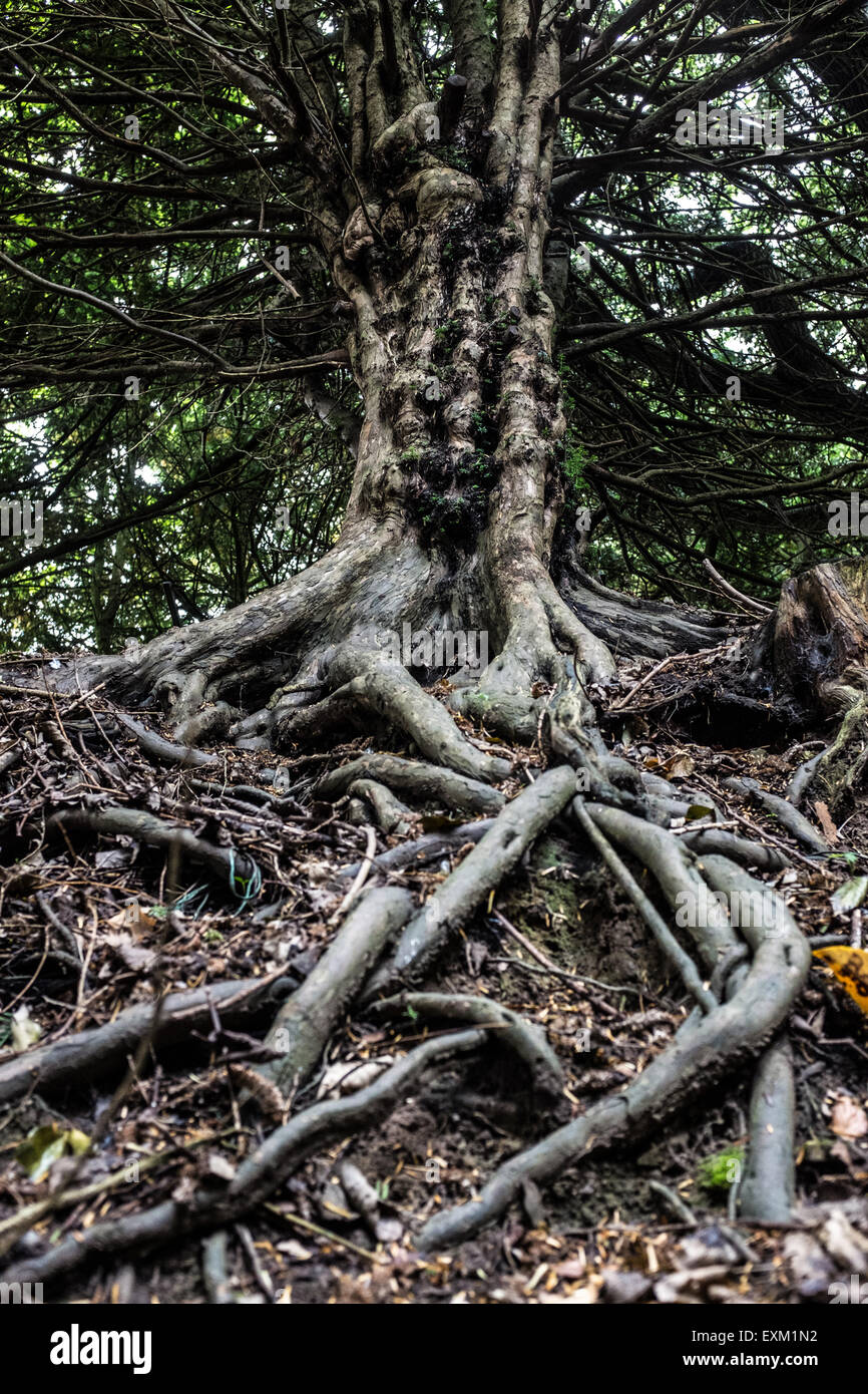 Atmospheric hike hi-res stock photography and images - Alamy