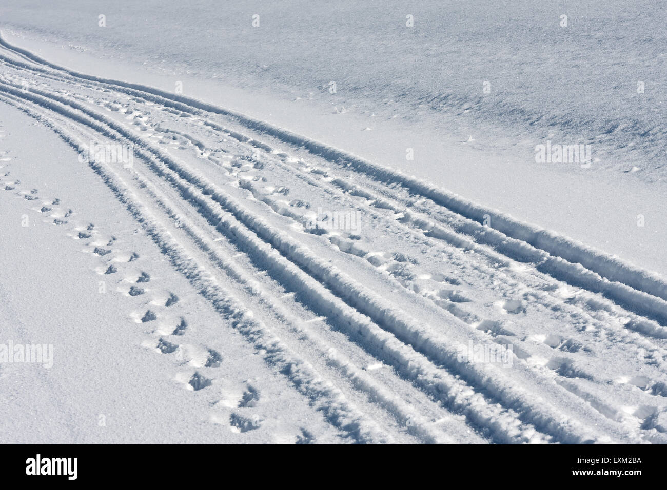 Tire tracks and footsteps in white snow Stock Photo - Alamy