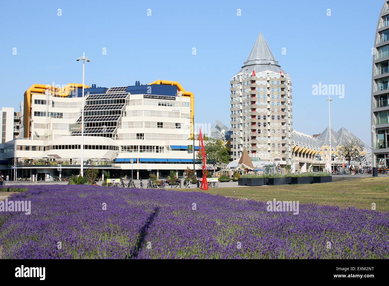 Rotterdam’s modern architecture hi-res stock photography and images - Alamy