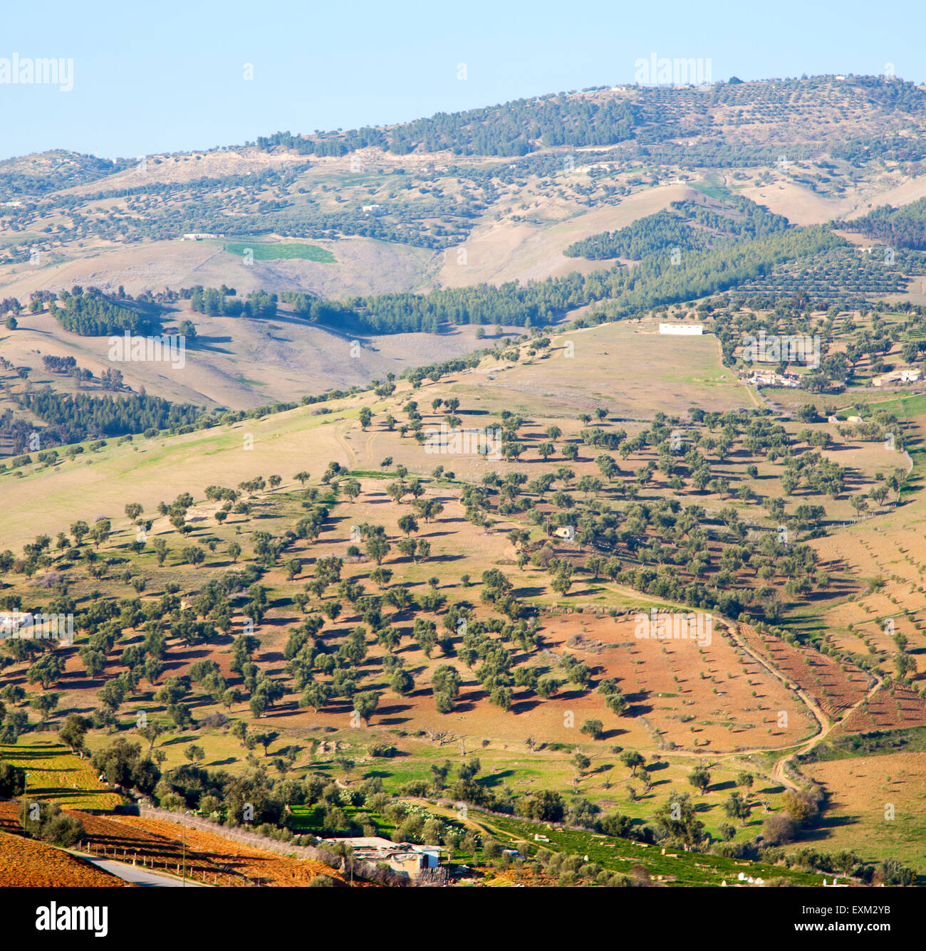 from high in the village morocco africa field and constructions Stock ...